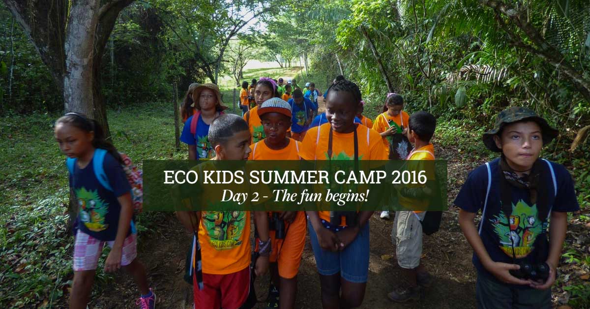 Belize Eco-Kids Summer Camp 2016: The Fun Begins!