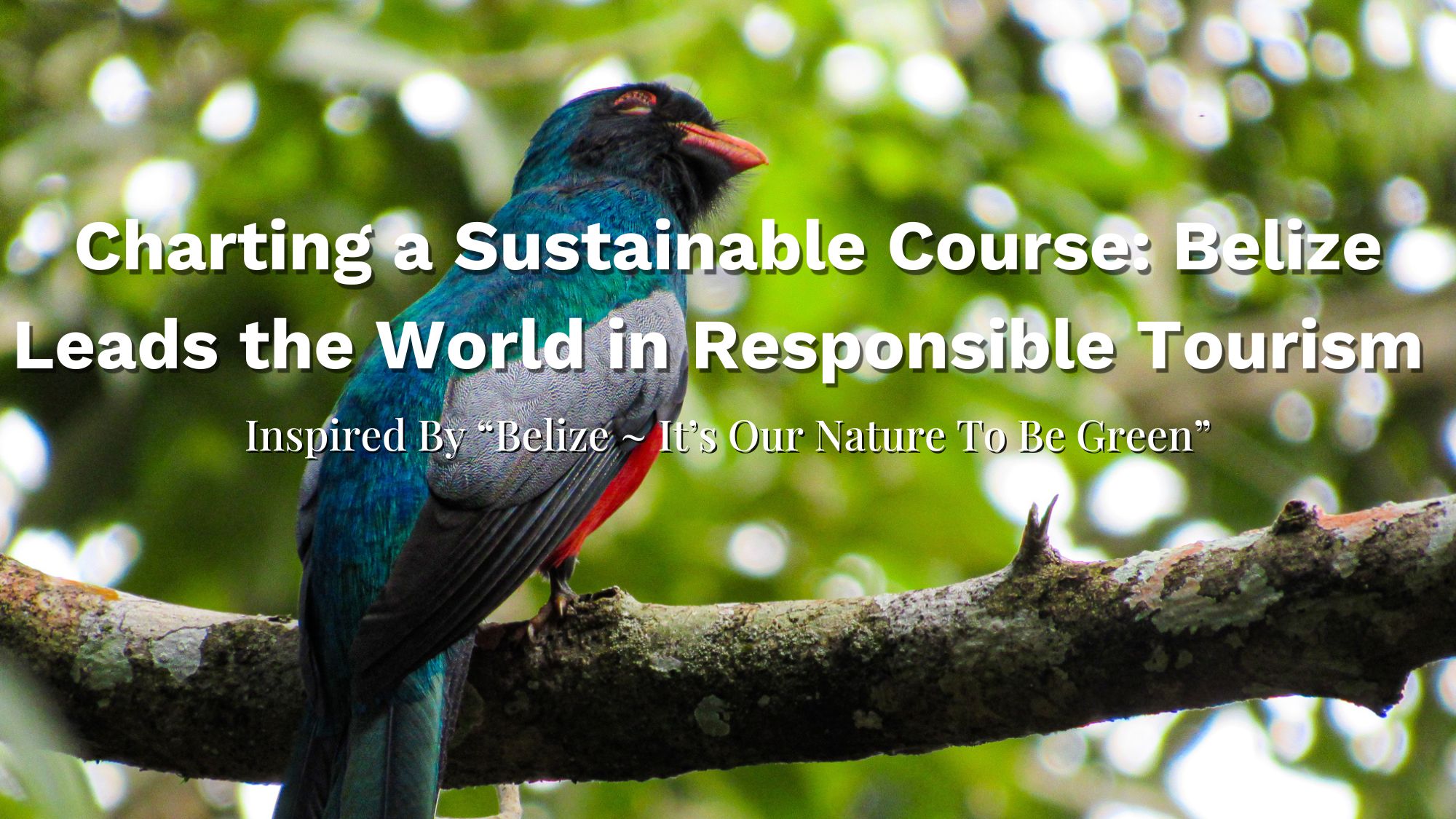 Belize Leads the World in Responsible Tourism